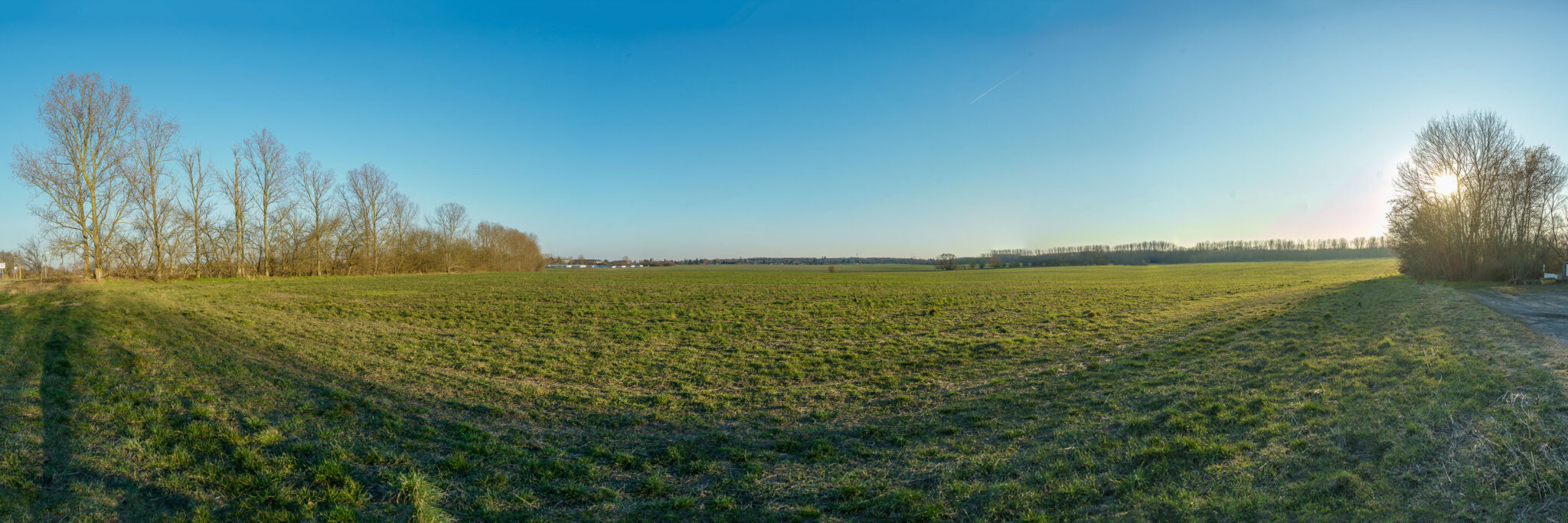 Almuth Tharan kommentiert Bebauungspläne Elisabeth-Aue – BÜNDNIS 90/DIE ...